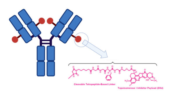 Top 5 Most Expected Biologics in 2024 | Mabion