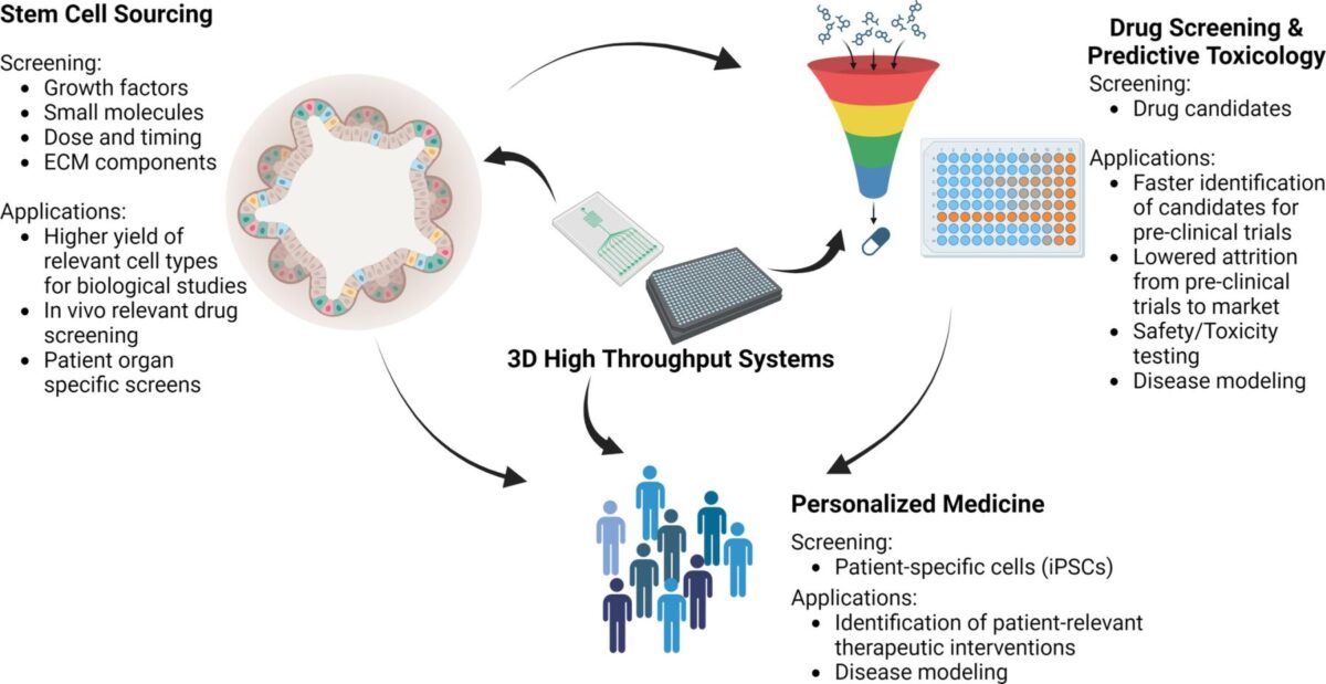High-Throughput Screening in Cell Line Development | Mabion