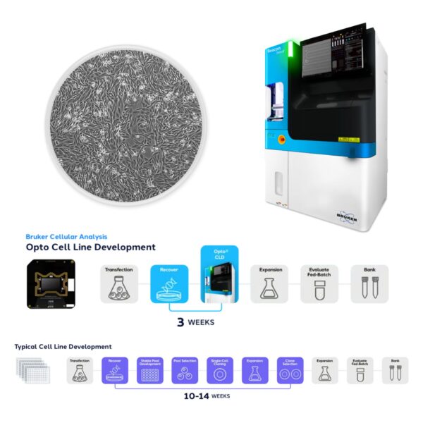Cell Line Development - Mabion